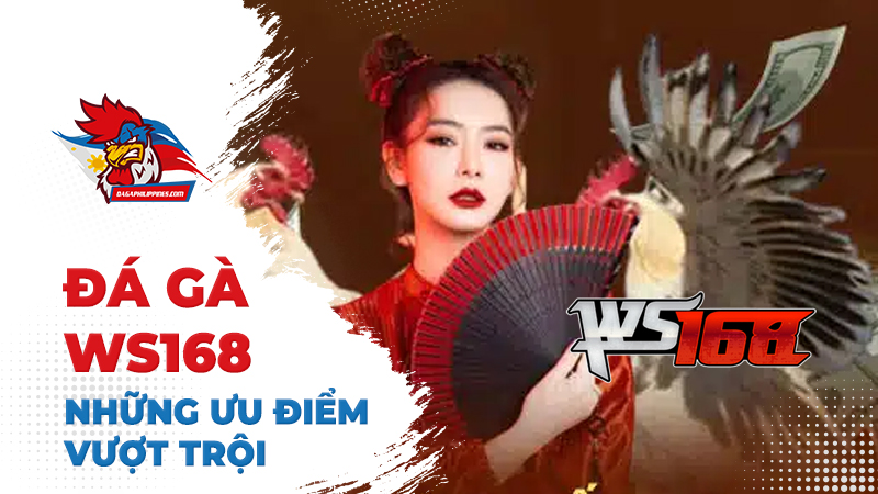 Đá gà ws168 sân chơi đá gà công bằng nhất hiện nay